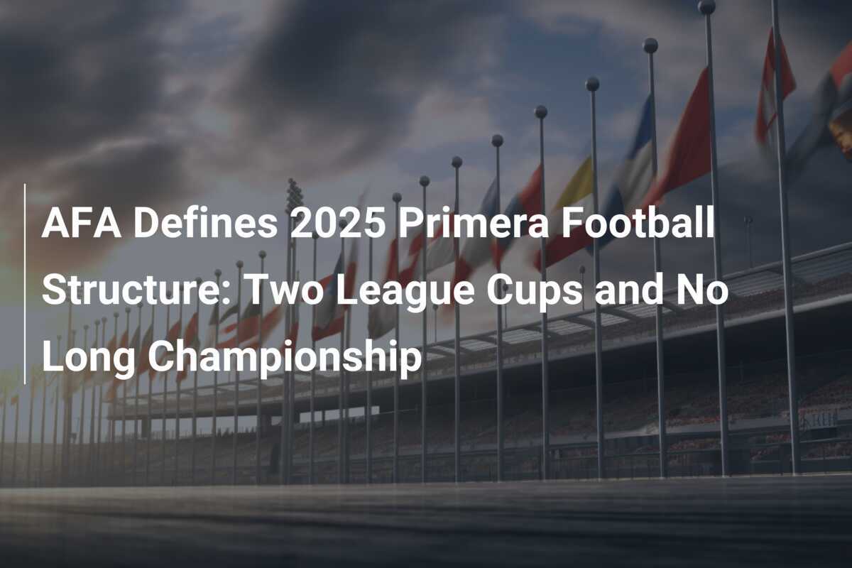 AFA Defines 2025 Primera Football Structure: Two League Cups and No ...