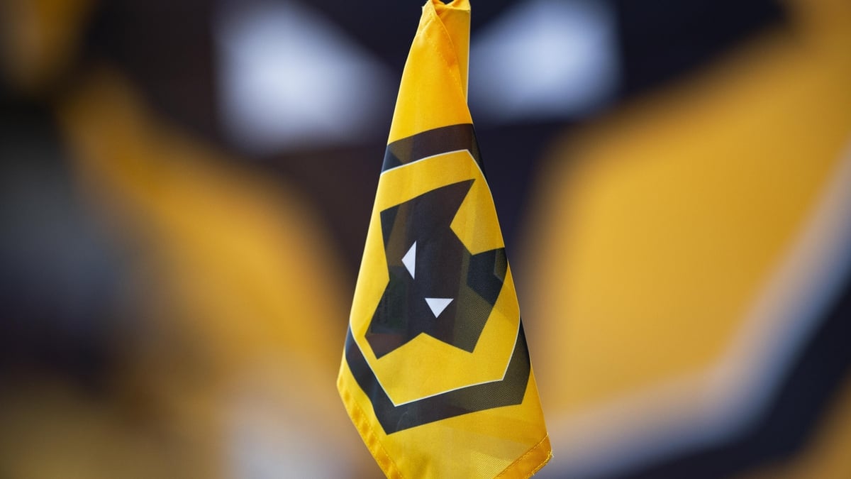 Leaked Wolves EA FC 26 Ratings: Key Players Spotlighted - footboom1.com