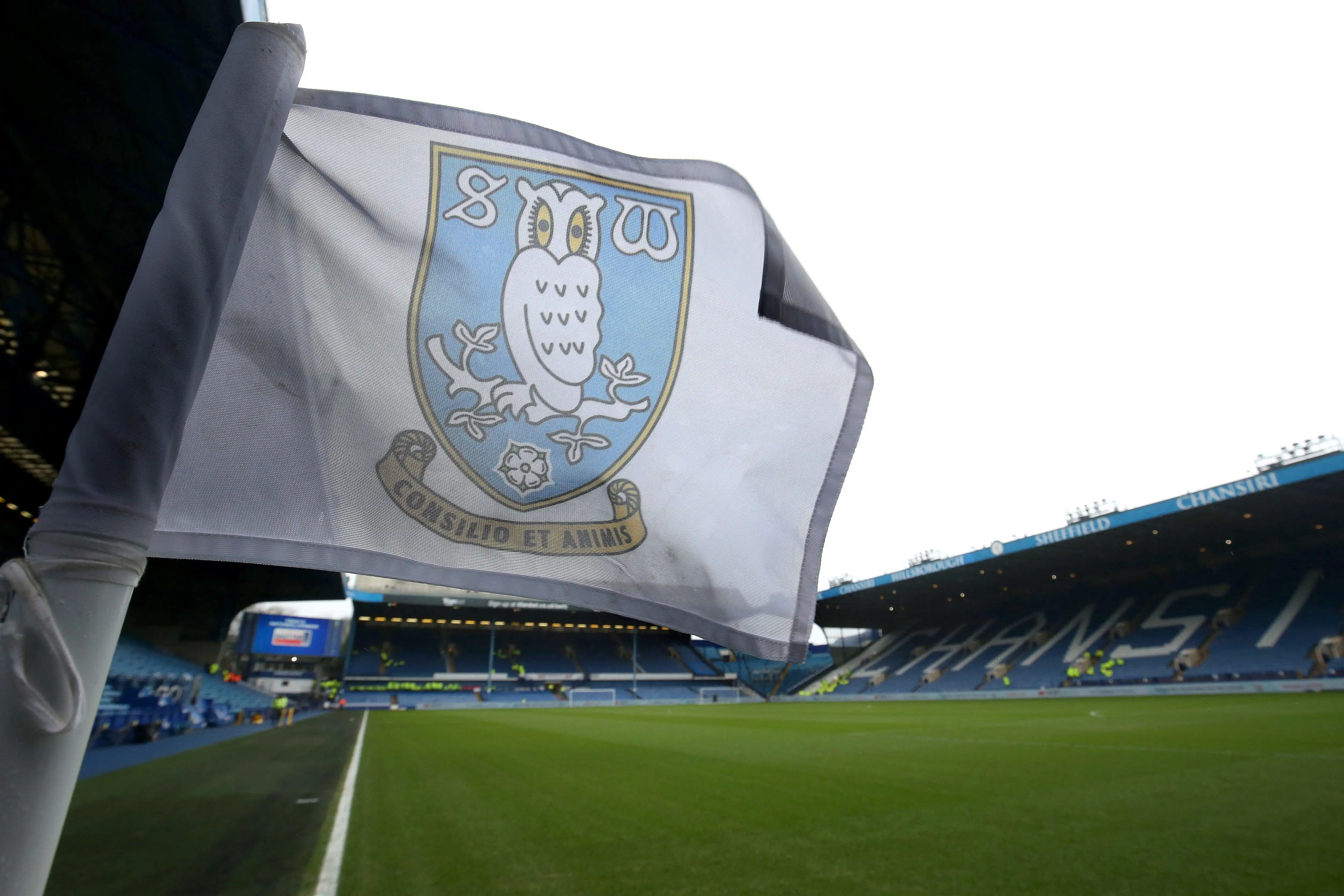 Henrik Pedersen's Proud New Role at Sheffield Wednesday - footboom1.com