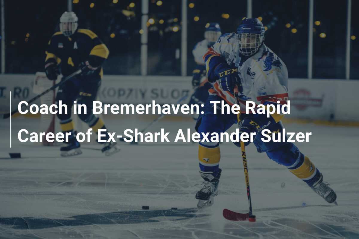 Coach in Bremerhaven: The Rapid Career of Ex-Shark Alexander Sulzer ...