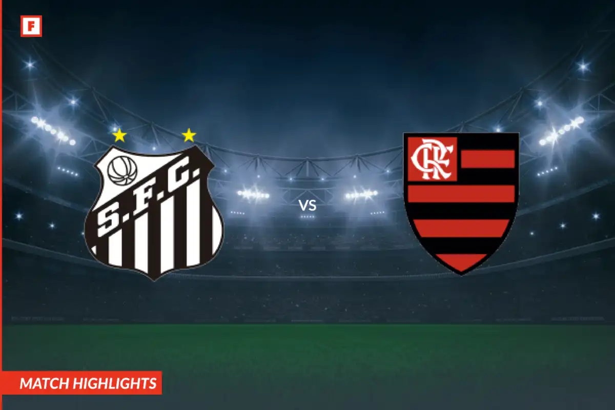 Santos - Flamengo goals and highlights - footboom1.com