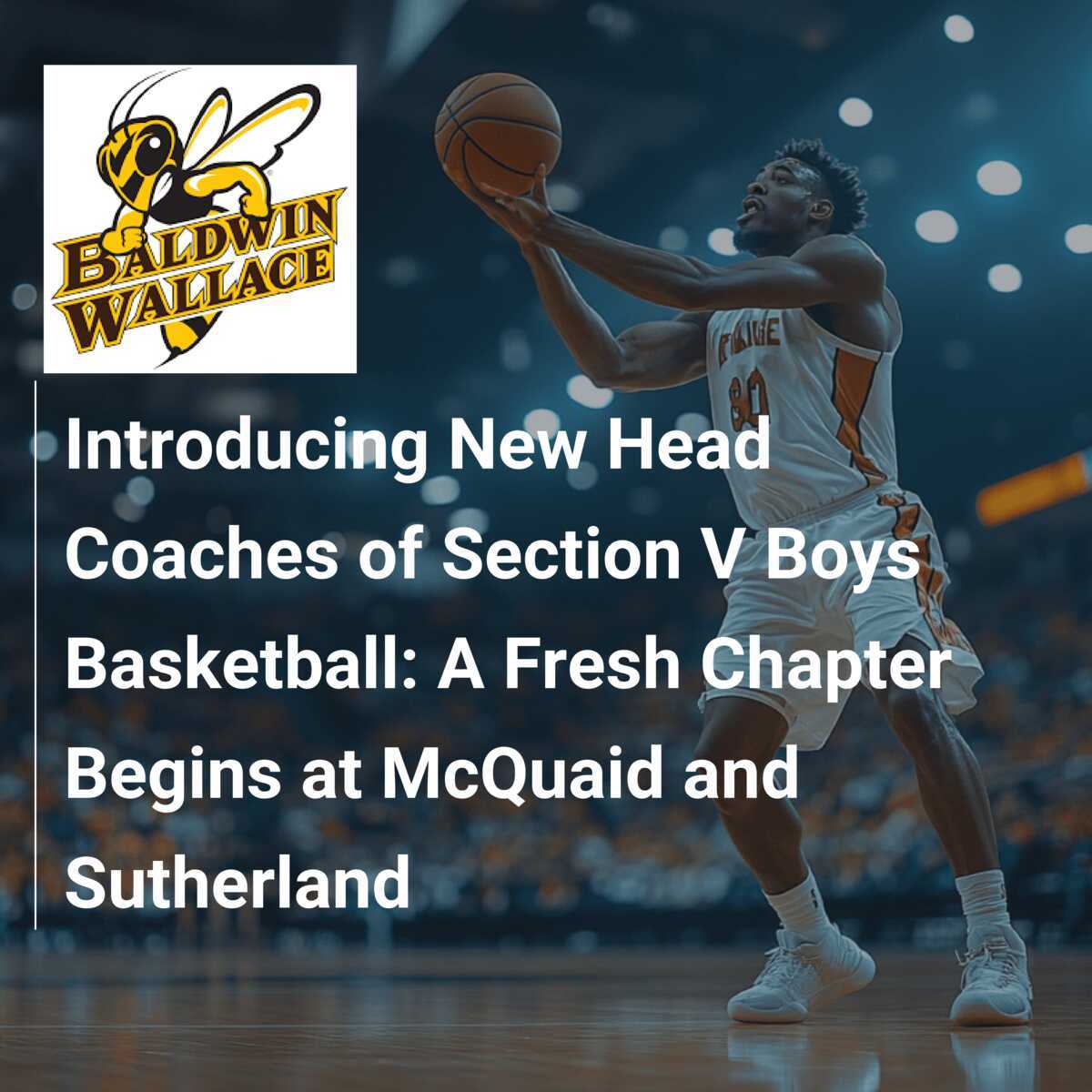 Section v basketball store