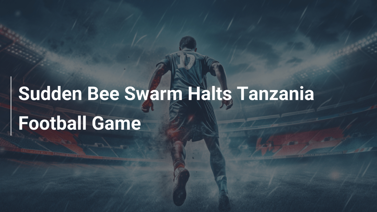 Sudden Bee Swarm Halts Tanzania Football Game - footboom1.com